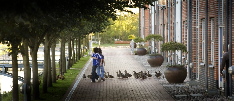 Ribe | Kristeligt Dagblad