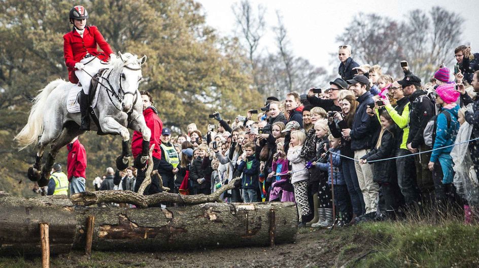 Kongelige til rævehalejagt i Dyrehaven | Kristeligt Dagblad