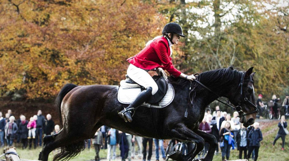 Kongelige til rævehalejagt i Dyrehaven | Kristeligt Dagblad