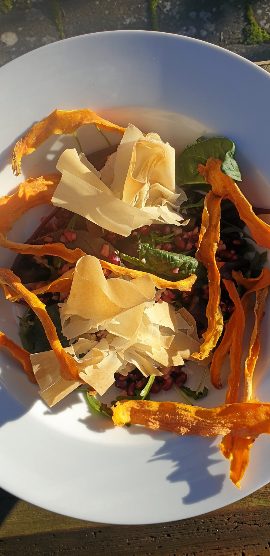 En god salat skal være smuk | Kristeligt Dagblad