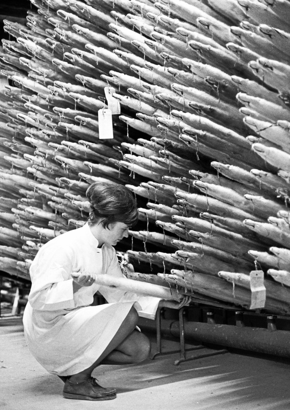 Torsdag skal Mette Frederiksen afhøres i mink-kommissionen. Her er ...