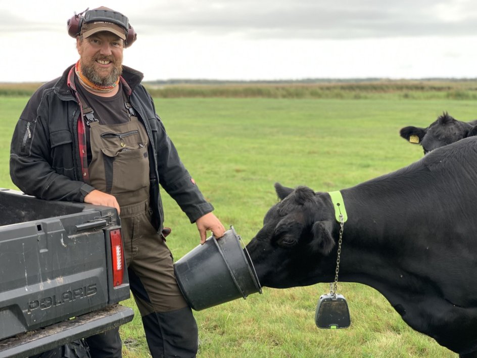 Må man være nøgen i saunaen? Kan en koklokke ses på gps? Og hvor mange ...
