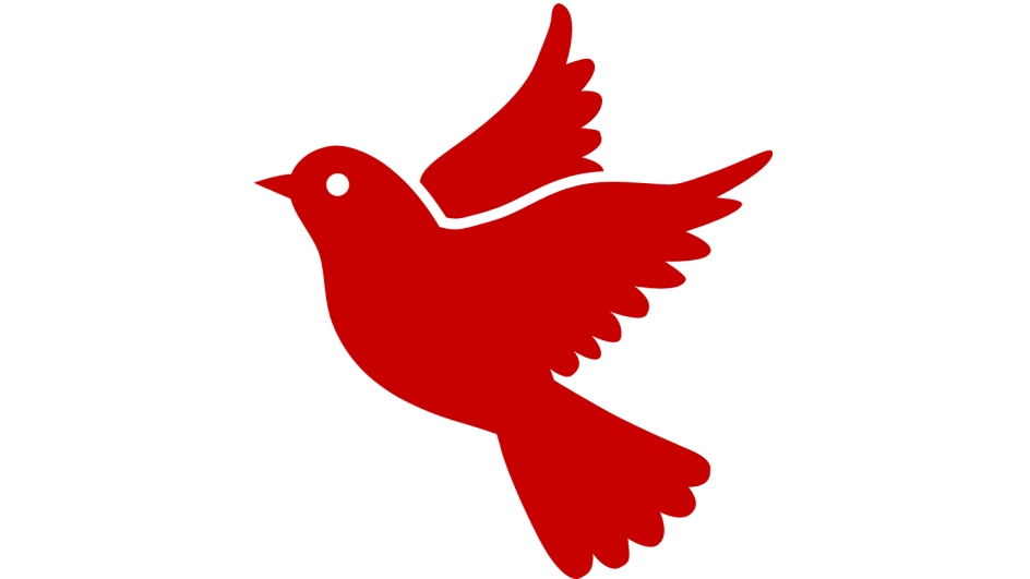 Det betyder de kristne symboler og tegn | Kristeligt Dagblad