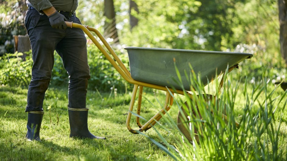 Rundspørge viser opbakning til kritiseret biskop | Kristeligt Dagblad
