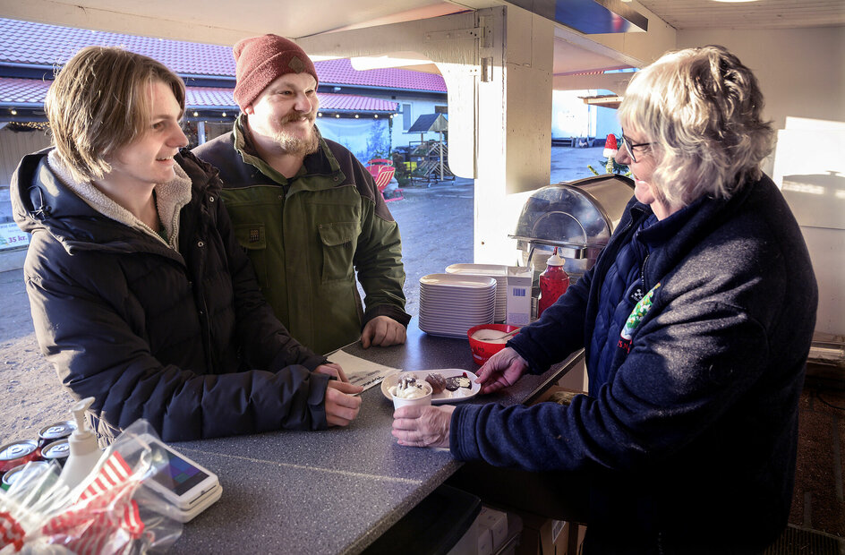 Færre dyrker juletræer og flere køber et af plastic | Kristeligt Dagblad