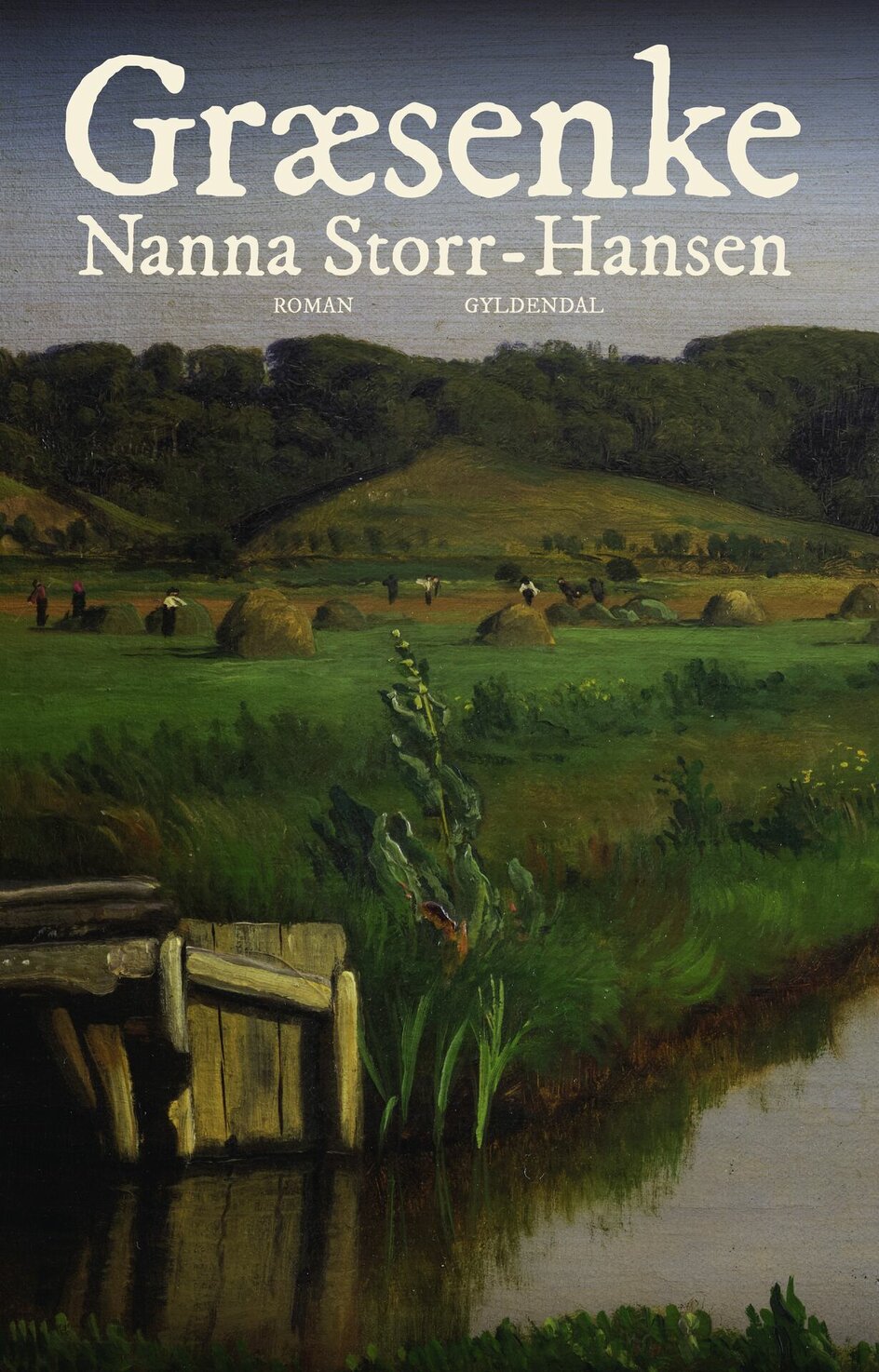 5 stjerner til dragende romandebut: Denne bog bør læses mindst to gange ...