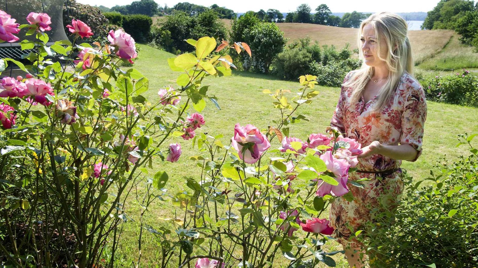 Anette Prehn: Haven er en lille plet, hvor man kan føre sine værdier ud ...