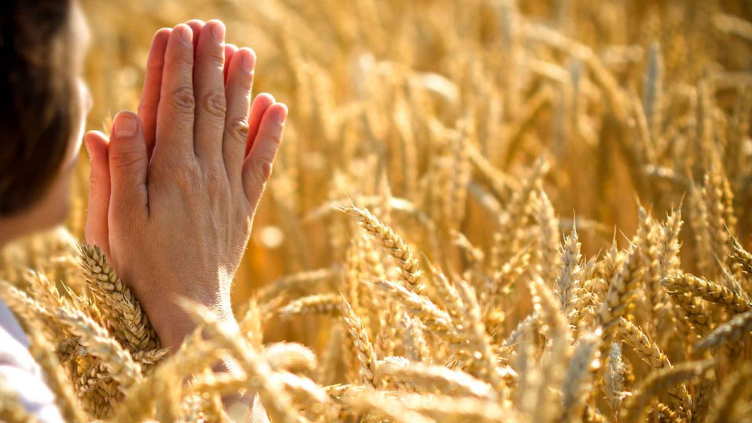 Kan man bede til både Faderen, Sønnen og Helligånden? | Kristeligt Dagblad