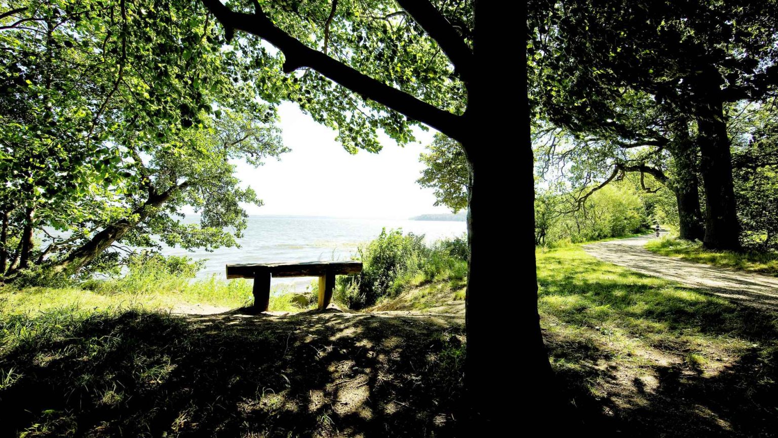 Naturen giver ro i en kompleks verden | Kristeligt Dagblad