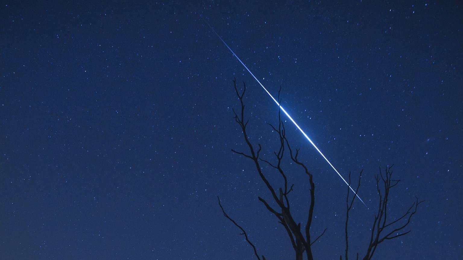 Sådan kan du se årets største meteorsværm | Kristeligt Dagblad