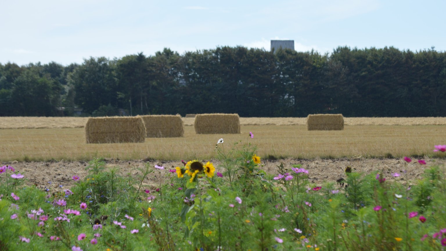 I dag futtes halmen stadig af. Men på en noget mere fornuftig vis ...
