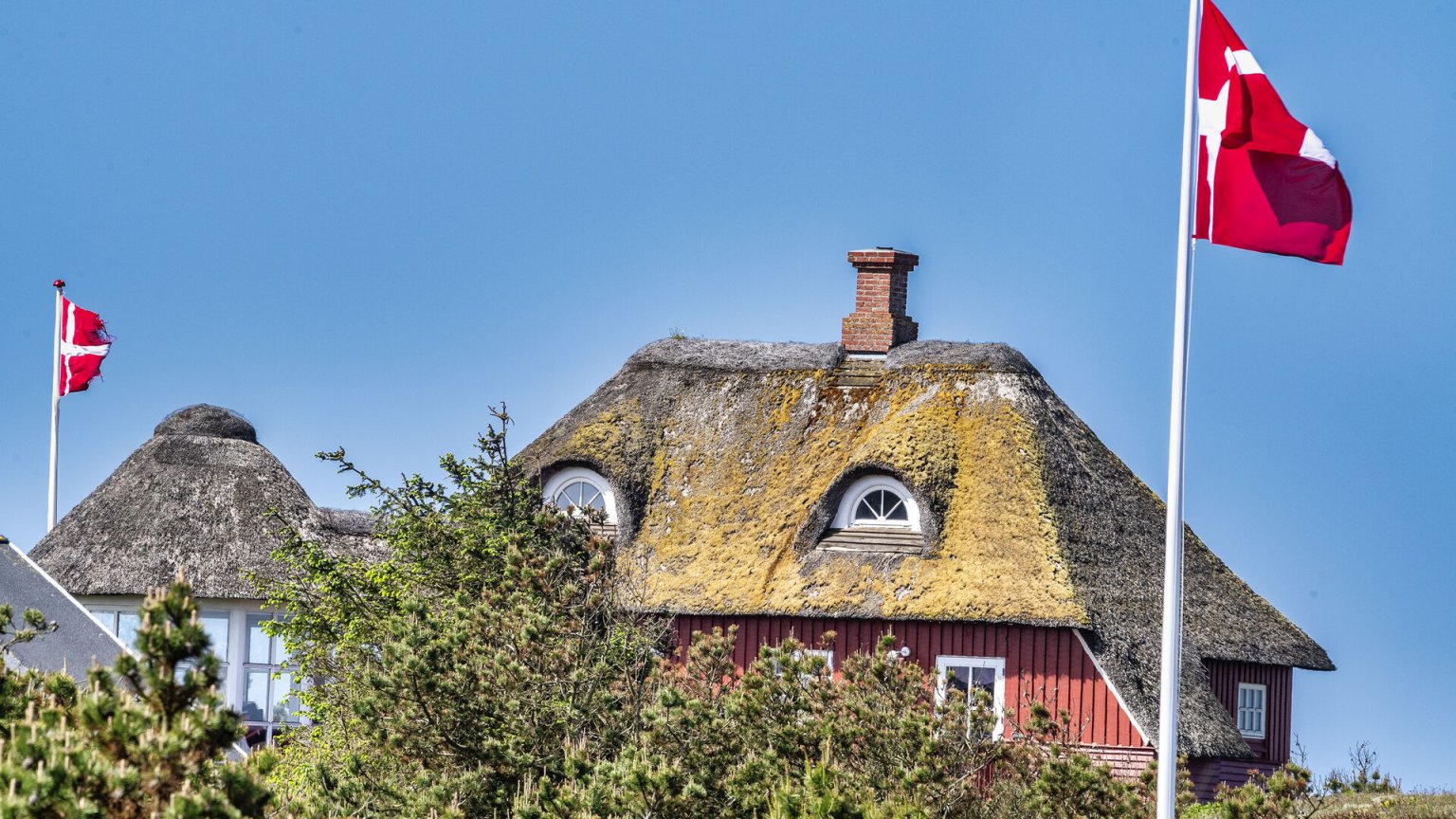 "Tyskerne tænker på danskerne som rolige og venlige": Sommerhuse i Jylland er et gigantisk hit ...