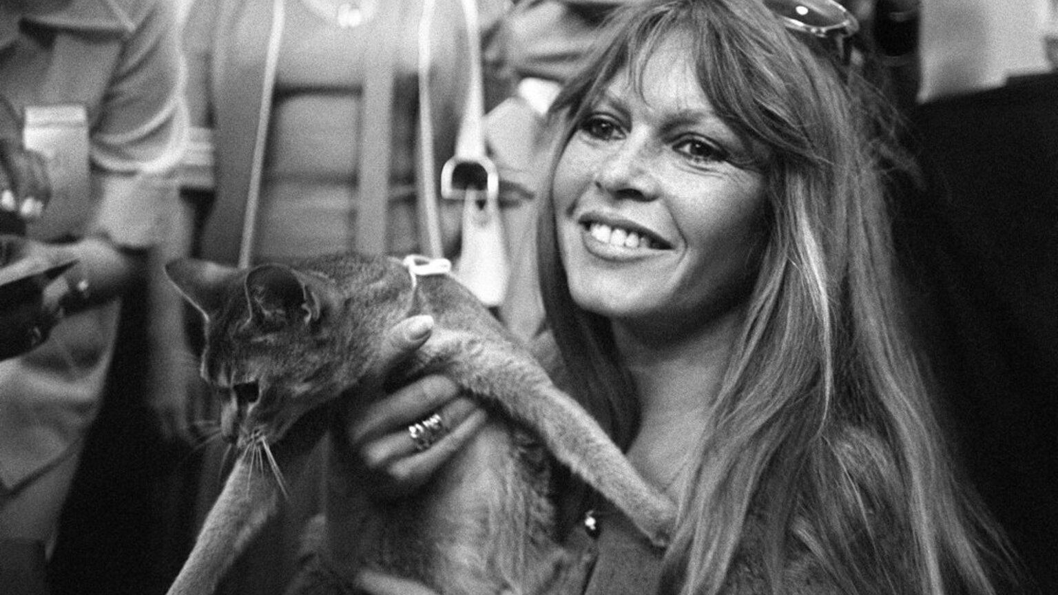 Skuespiller Brigitte Bardot er død - 91 år | Kristeligt Dagblad