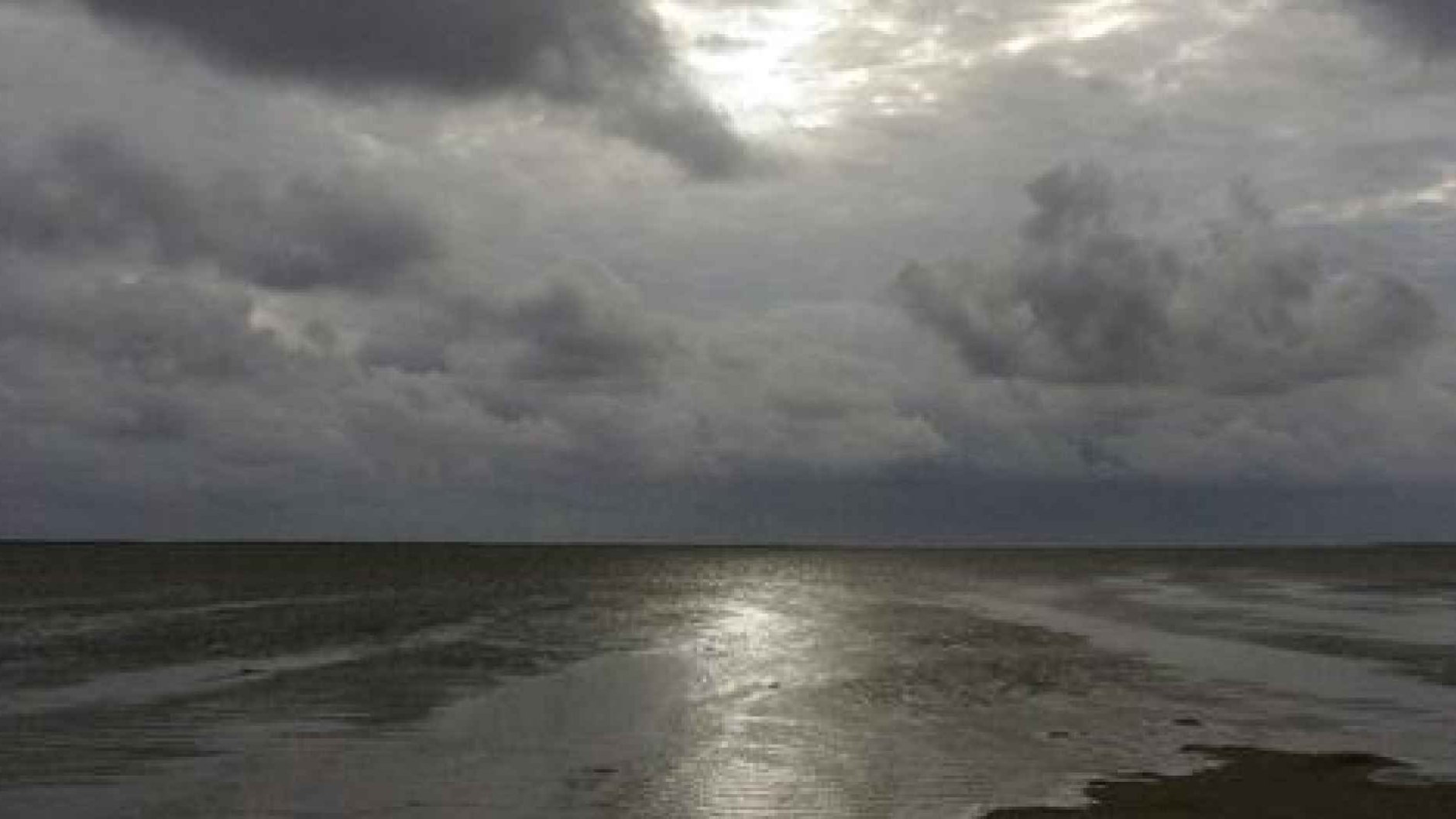 En sommerdag ved stranden | Kristeligt Dagblad