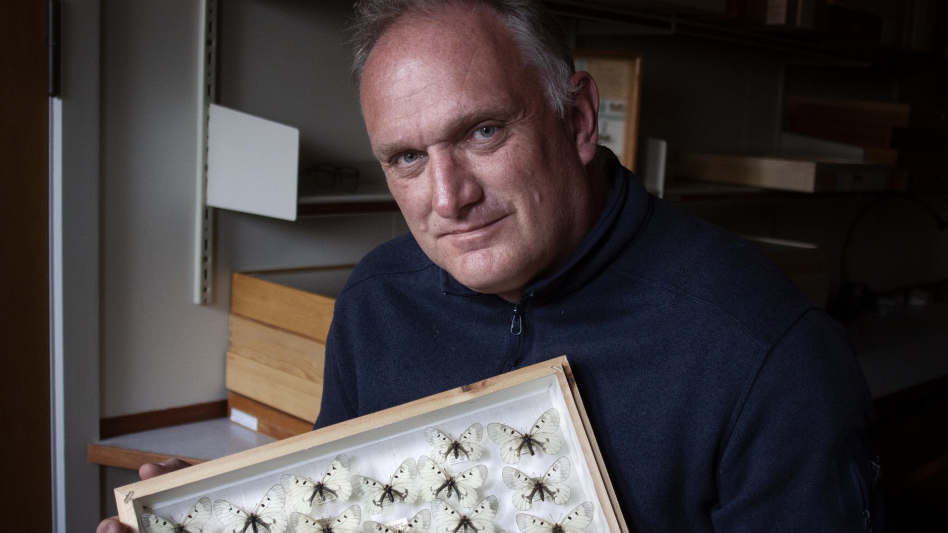 Morten D.D. Hansen hyler ikke med de ulve, han er iblandt | Kristeligt ...