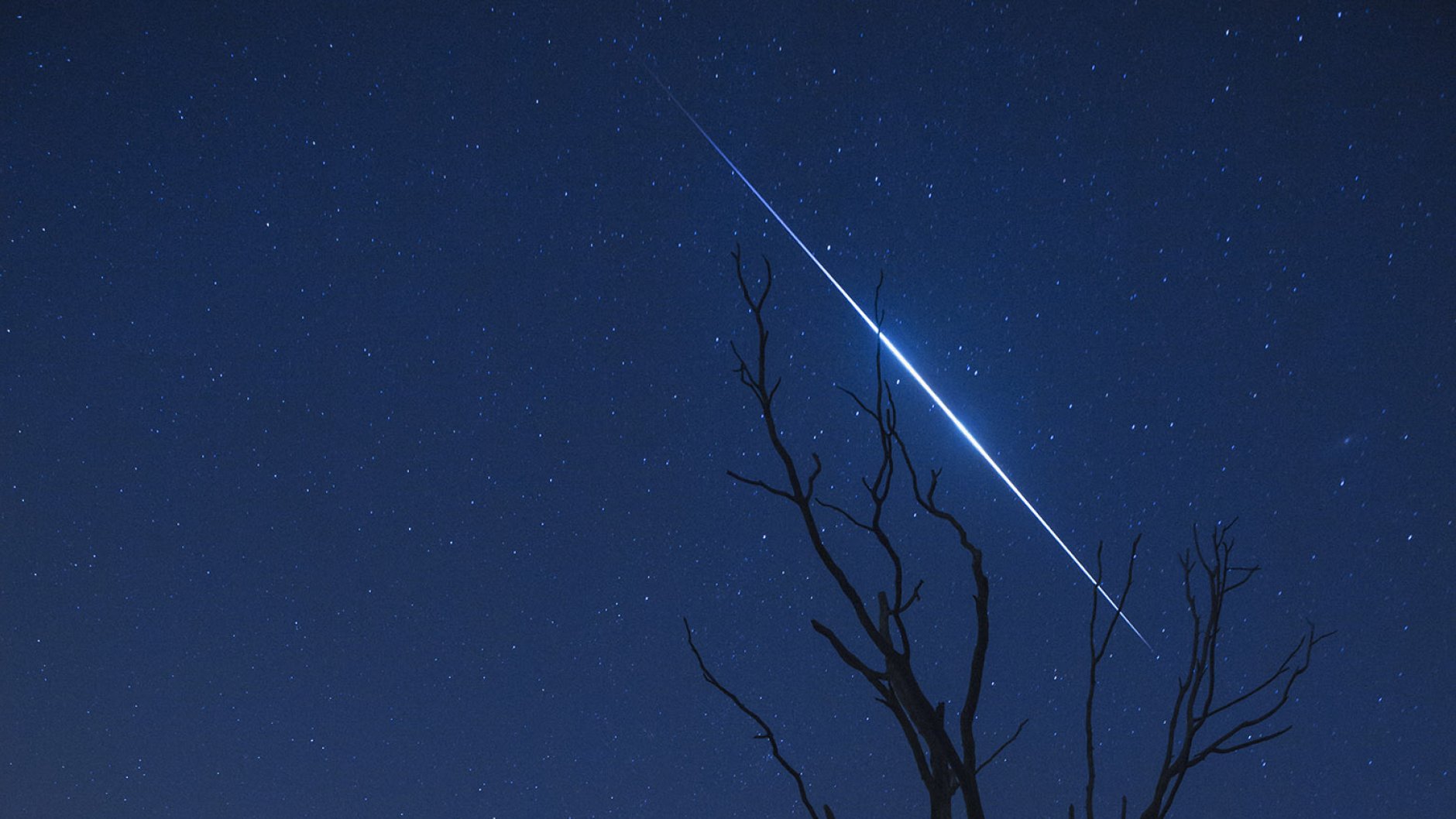 Sådan kan du se årets største meteorsværm | Kristeligt Dagblad