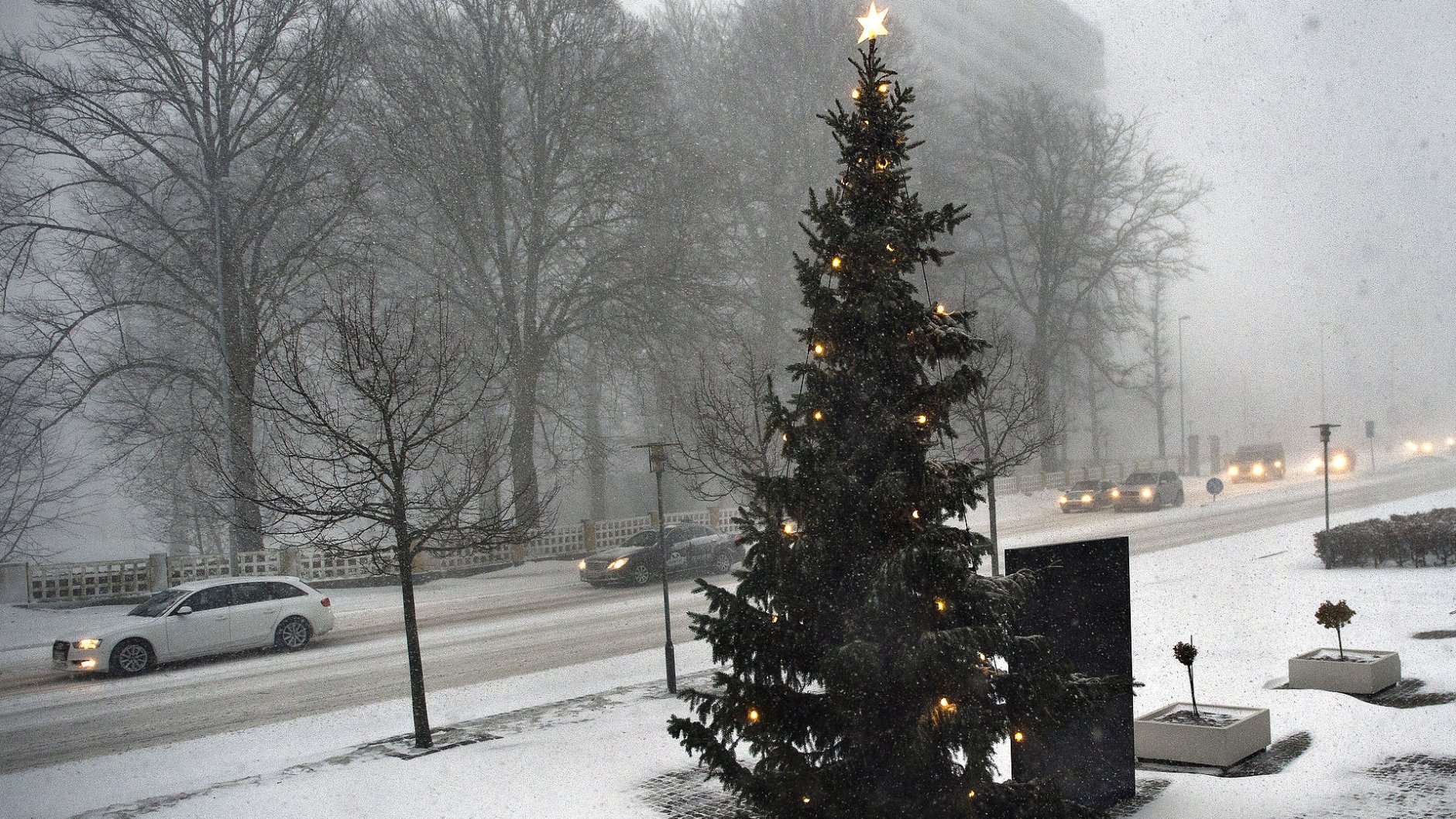 Hvorfor drømmer alle om en hvid jul? Svaret findes både hos Grundtvig ...