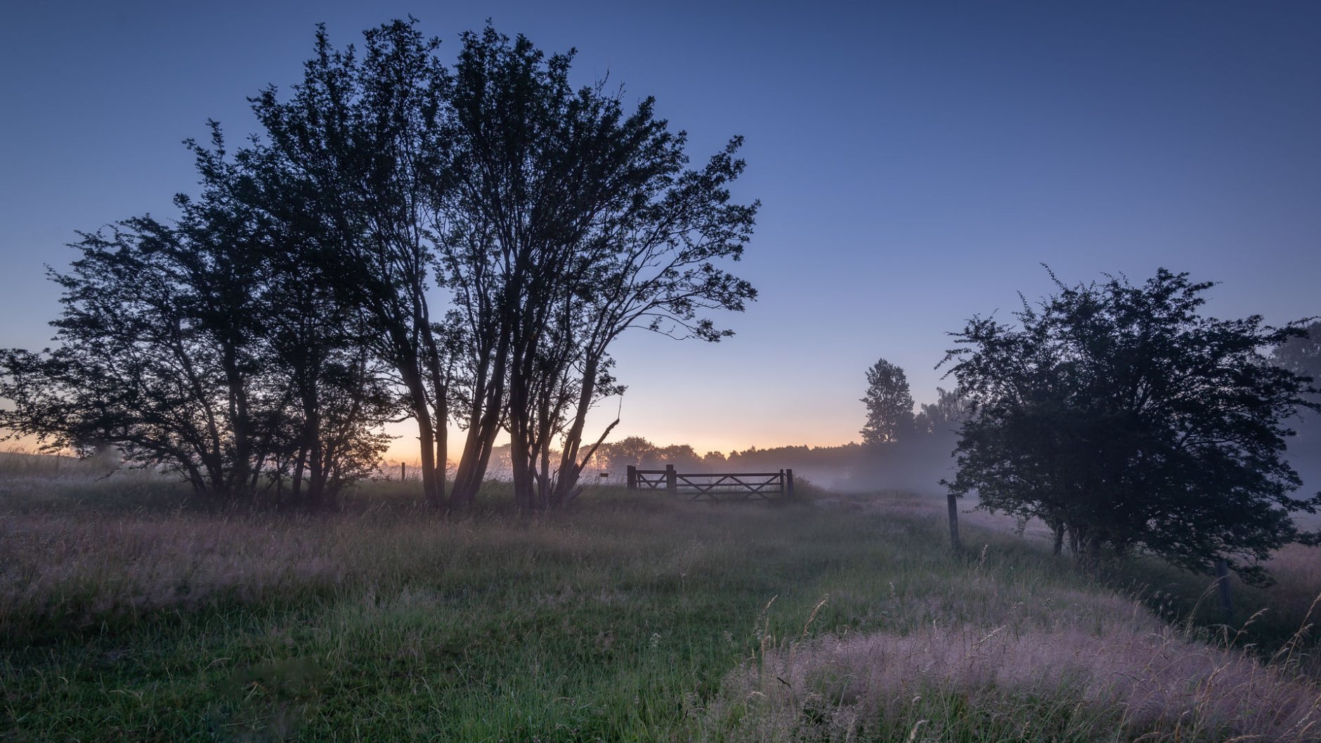En hyldest til de lyse nætter | Kristeligt Dagblad