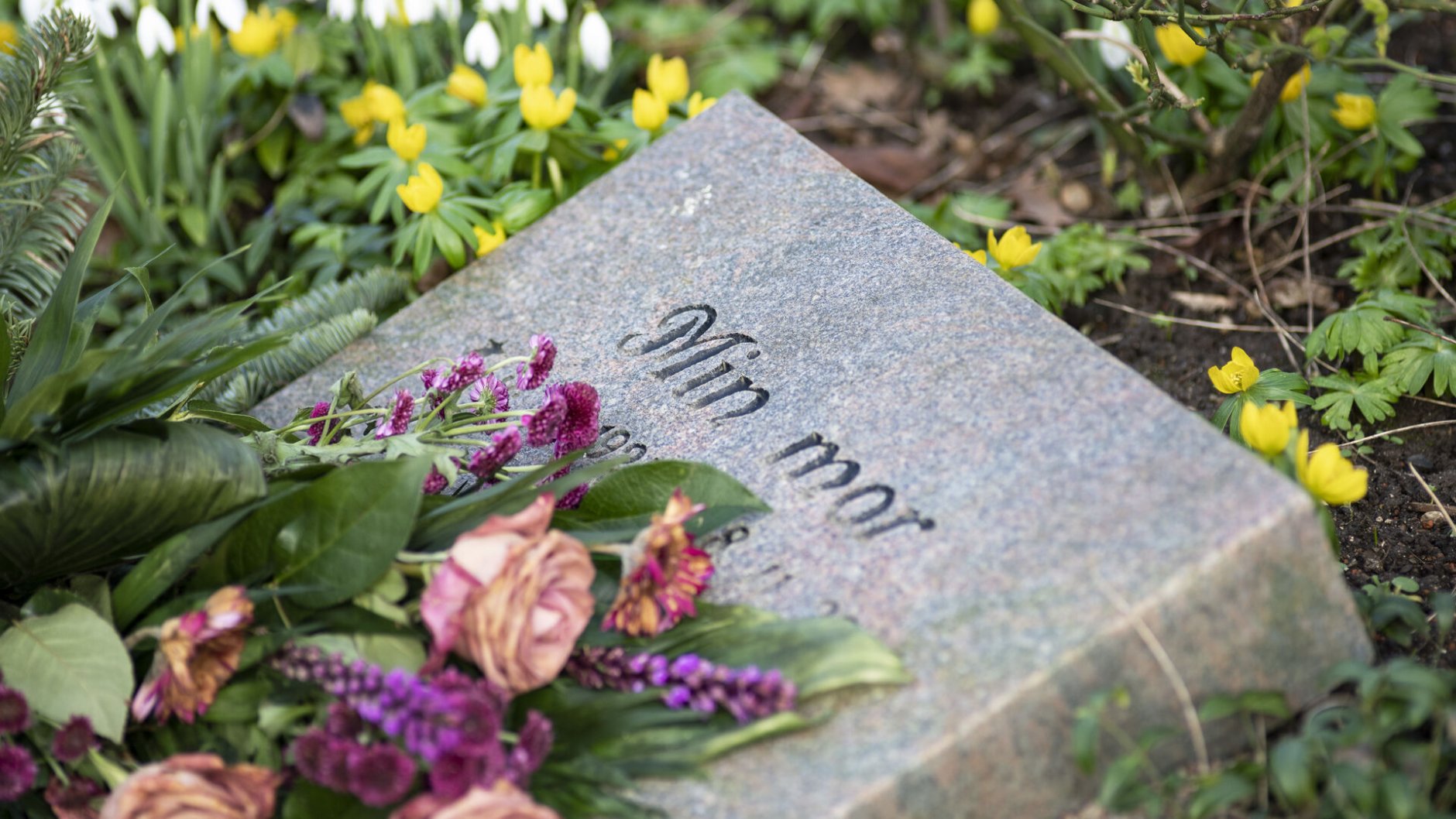 Jeg mistede min mor som 19-årig. Min omgangskreds har svært ved at tale ...