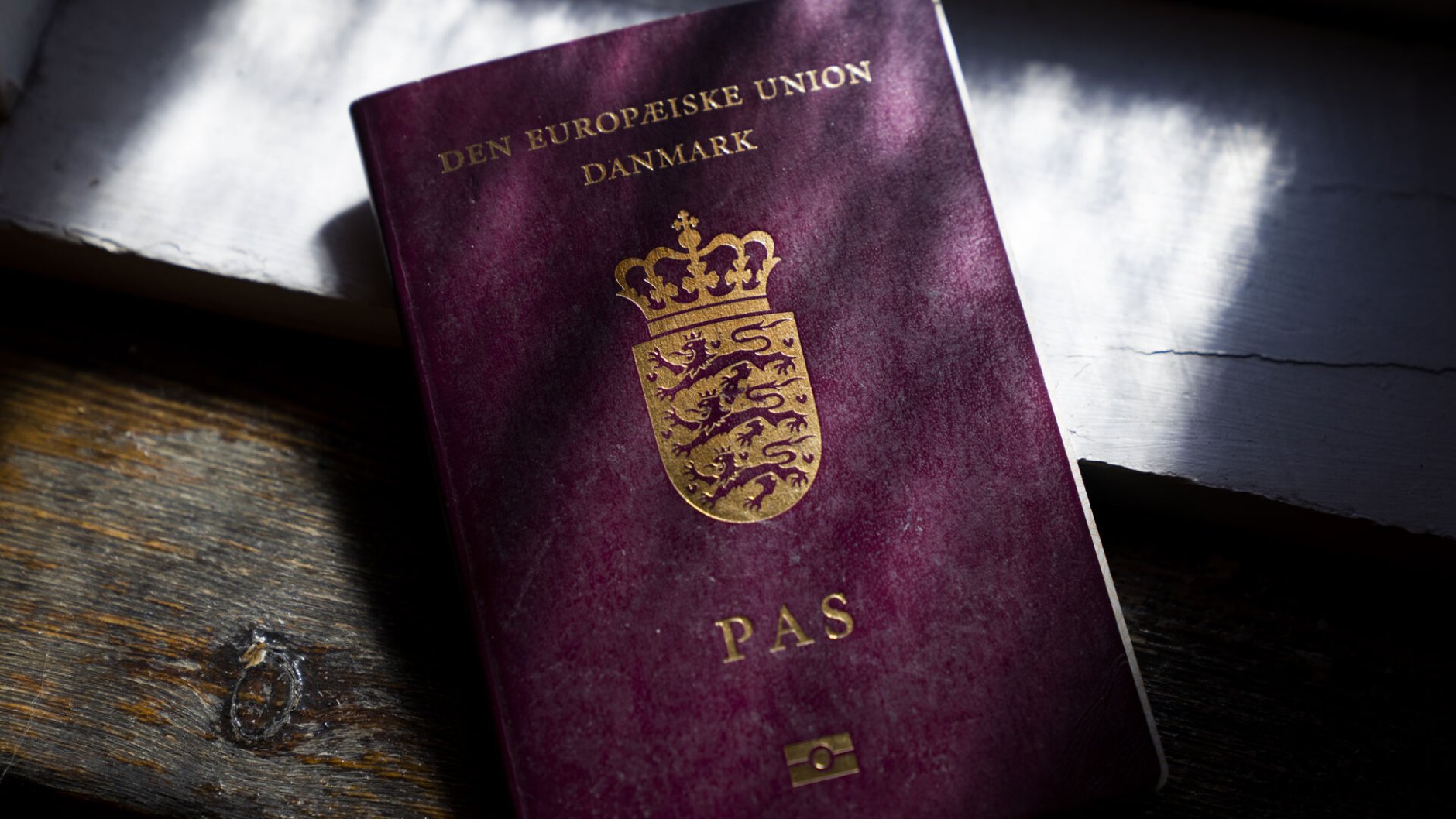 Jelena er født i Danmark, men kan ikke stave sit eget navn. Krav til ...