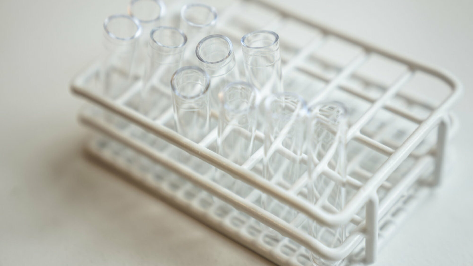 Dansk sædbank afviser sæd fra personer med en IQ under 85 | Kristeligt ...