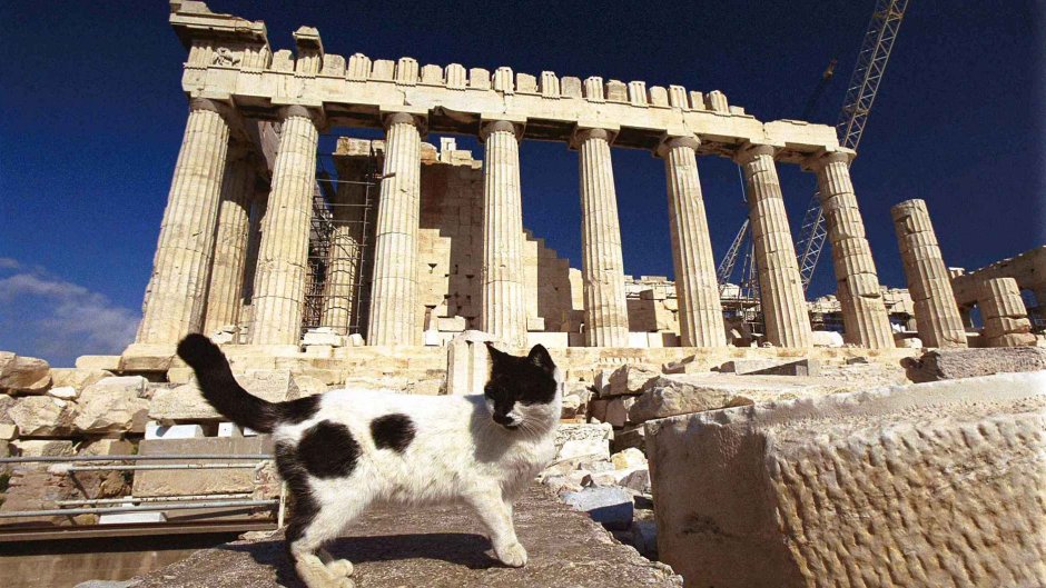 Demokratiets symbol: Akropolis i Athen | Kristeligt Dagblad