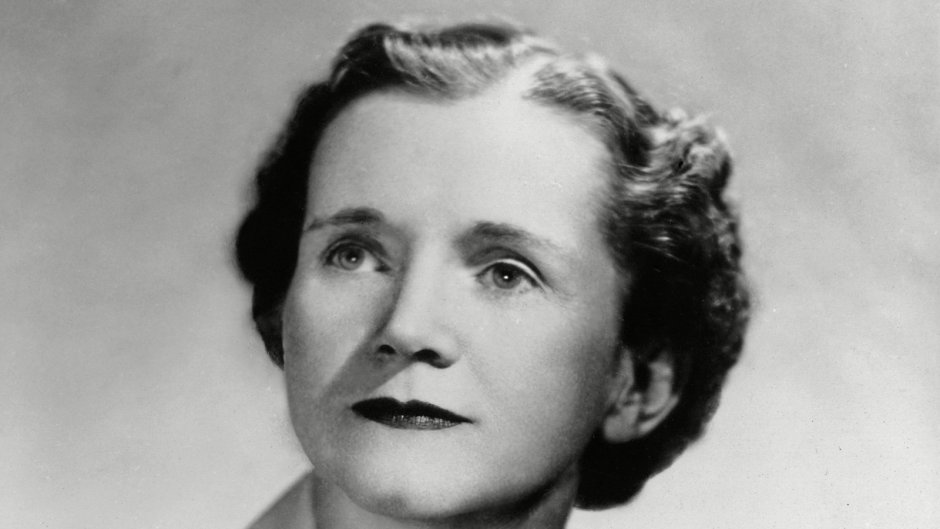 Under havets overflade: Rachel Carsons bog "Havet omkring os ...