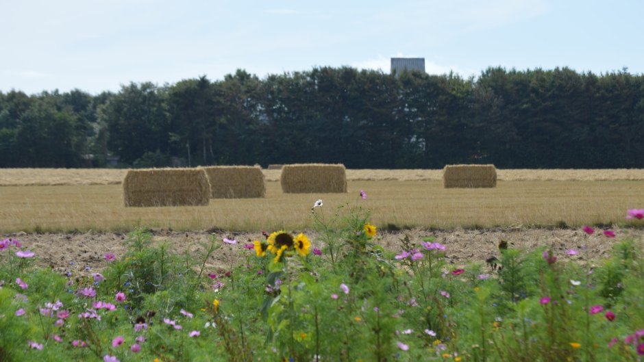 I dag futtes halmen stadig af. Men på en noget mere fornuftig vis ...