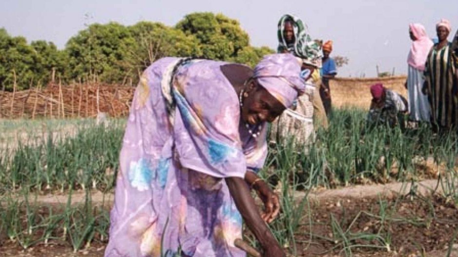 Fald i befolkningstal vigtigt for klimaet | Kristeligt Dagblad
