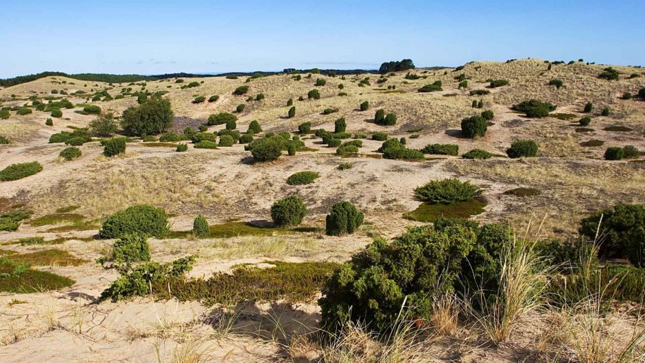 3. Anholt | Kristeligt Dagblad