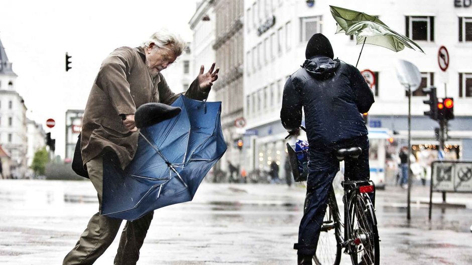 Meget regn bliver mere normalt i fremtidens Danmark | Kristeligt Dagblad