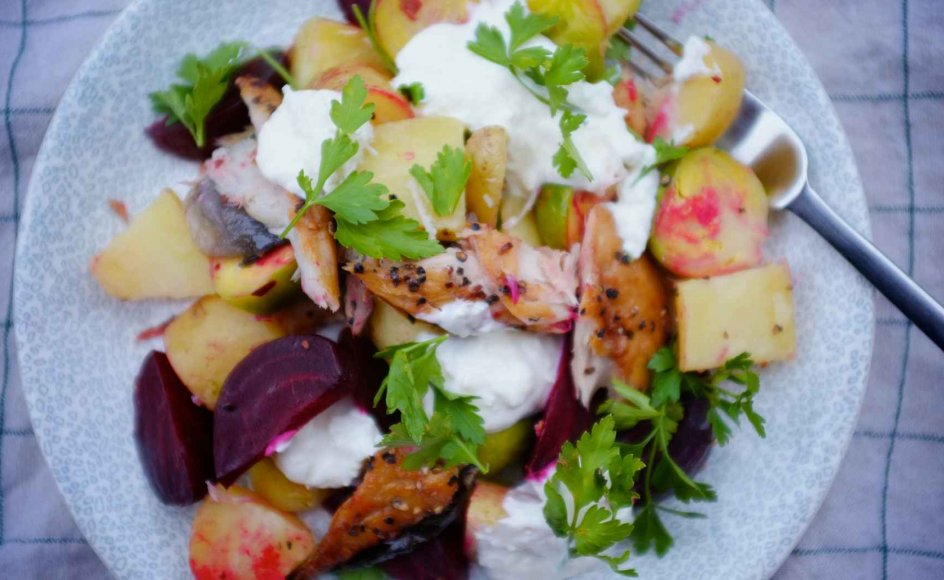 Det er mig eller makrellen | Kristeligt Dagblad