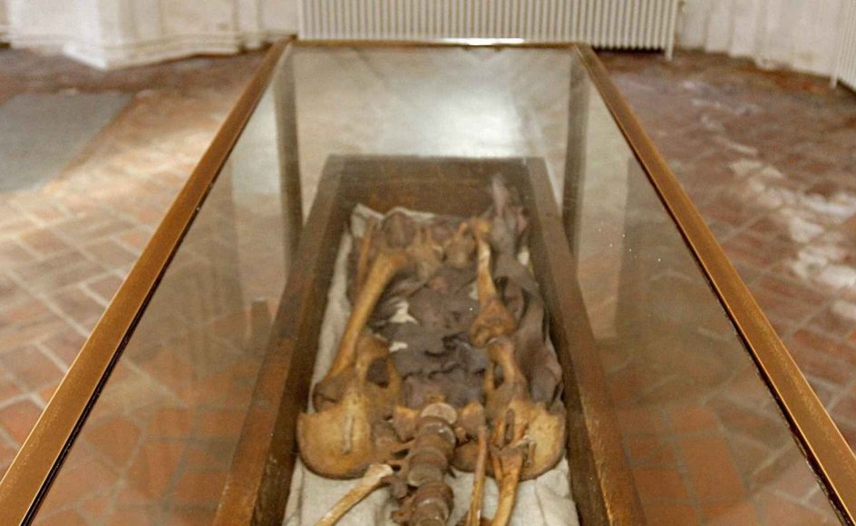 Ingen dna fra dræbt konge | Kristeligt Dagblad