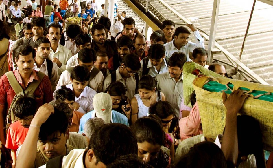 Mast sammen, angrebet af insekter og uden vand | Kristeligt Dagblad