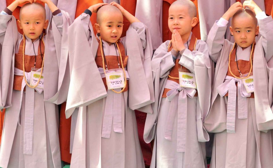 Billedserie: Af med håret og lev som buddhistisk munk i 14 dage ...