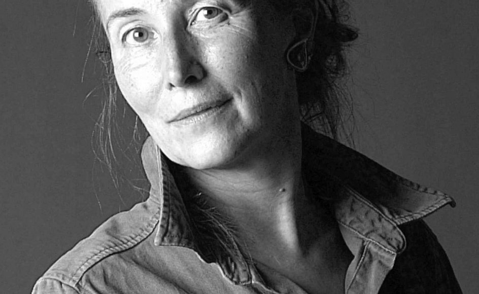 Svanen og pelikanen | Kristeligt Dagblad