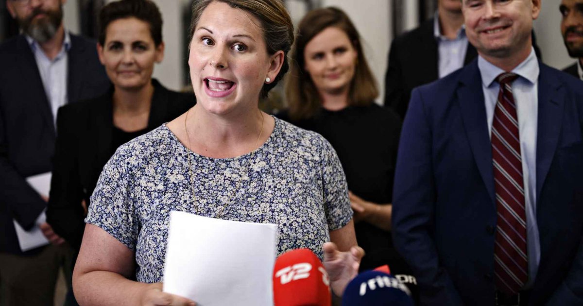Mette Abildgaard: Folk skal selv svinge støve-kosten, hvis der er ...