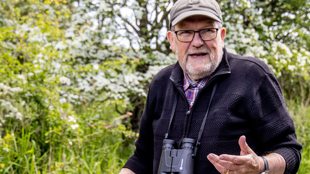De tager ud for at kigge på fugle og blomster. Men undervejs taler de om død og sorg ...