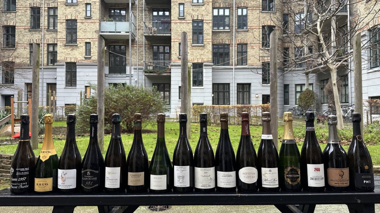 Derfor danner champagnebobler pæne kæder | Kristeligt Dagblad