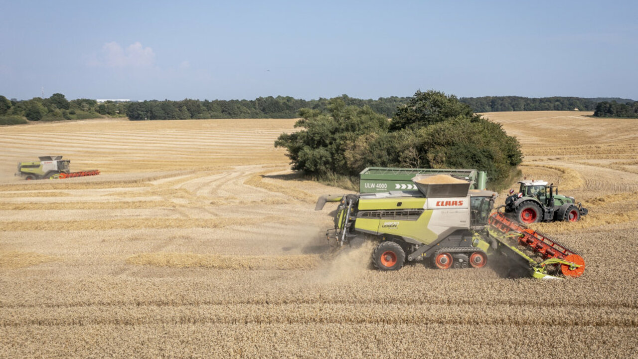 Forskere er tættere på at gøre planter mindre klimabelastende ...