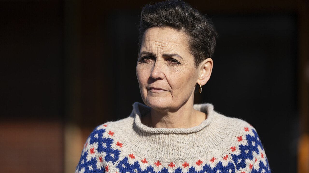 Pia Olsen Dyhr: Vi har gjort op med et naivt syn på ...