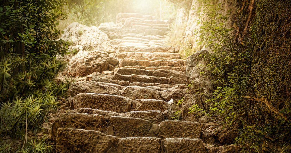 Hvem kan komme i Paradis? - Kristendom.dk