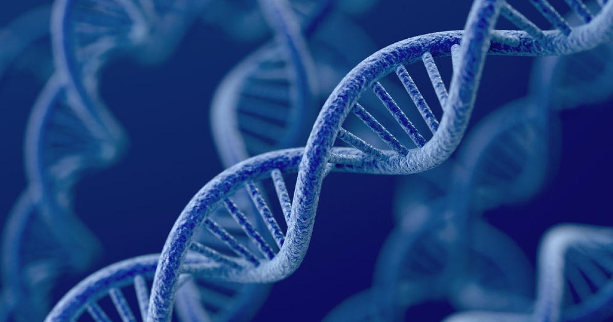 Vil du vide, hvilke sygdomme dine gener gemmer på? - Etik.dk
