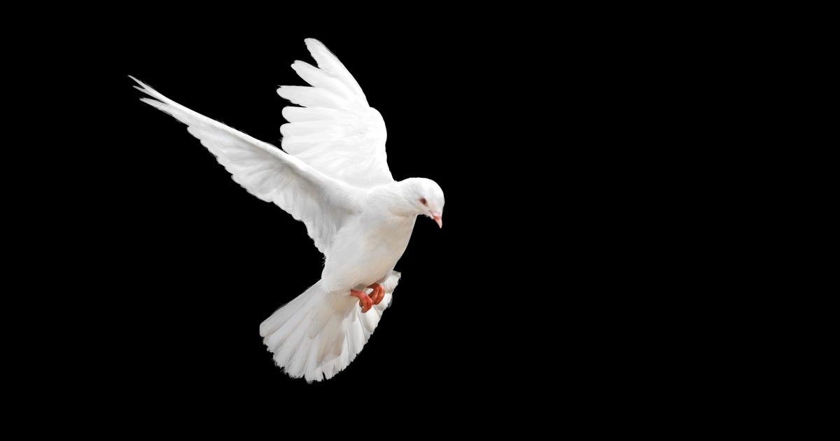 Helligånden i verdensreligionerne - Religion.dk